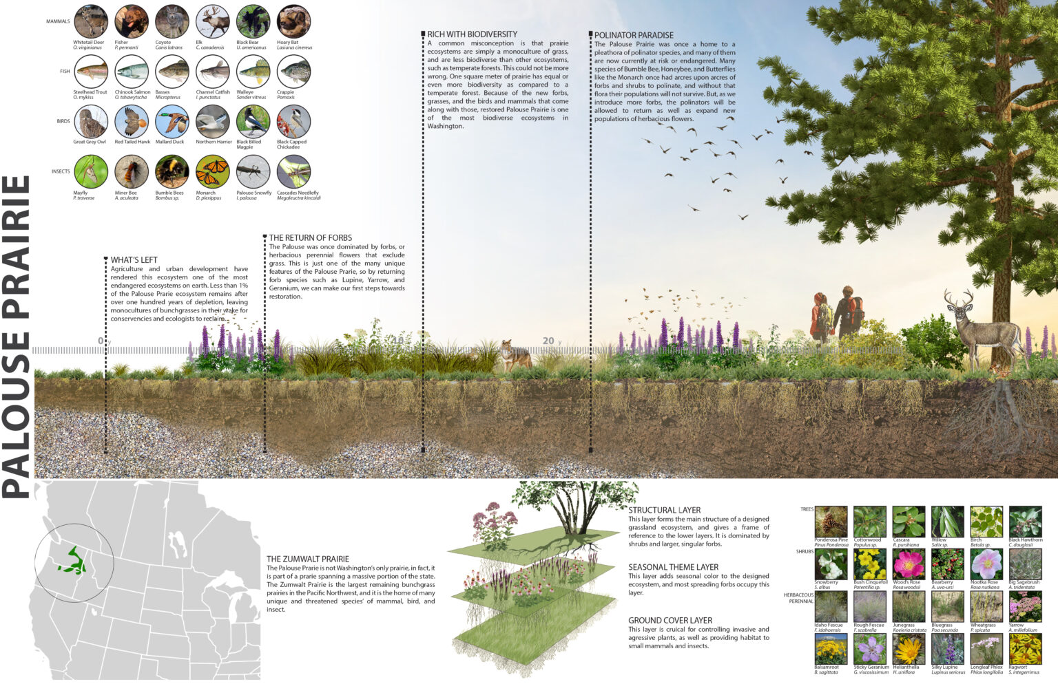 Bachelors in Landscape Architecture | School of Design and Construction ...
