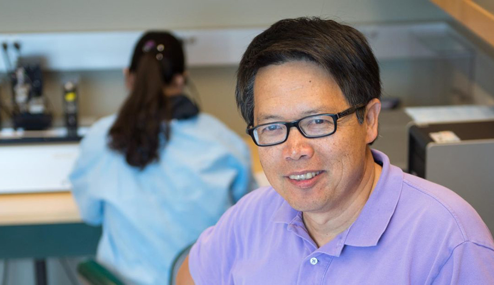 Addressing Food Safety and Preventing Disease | Voiland College of ...