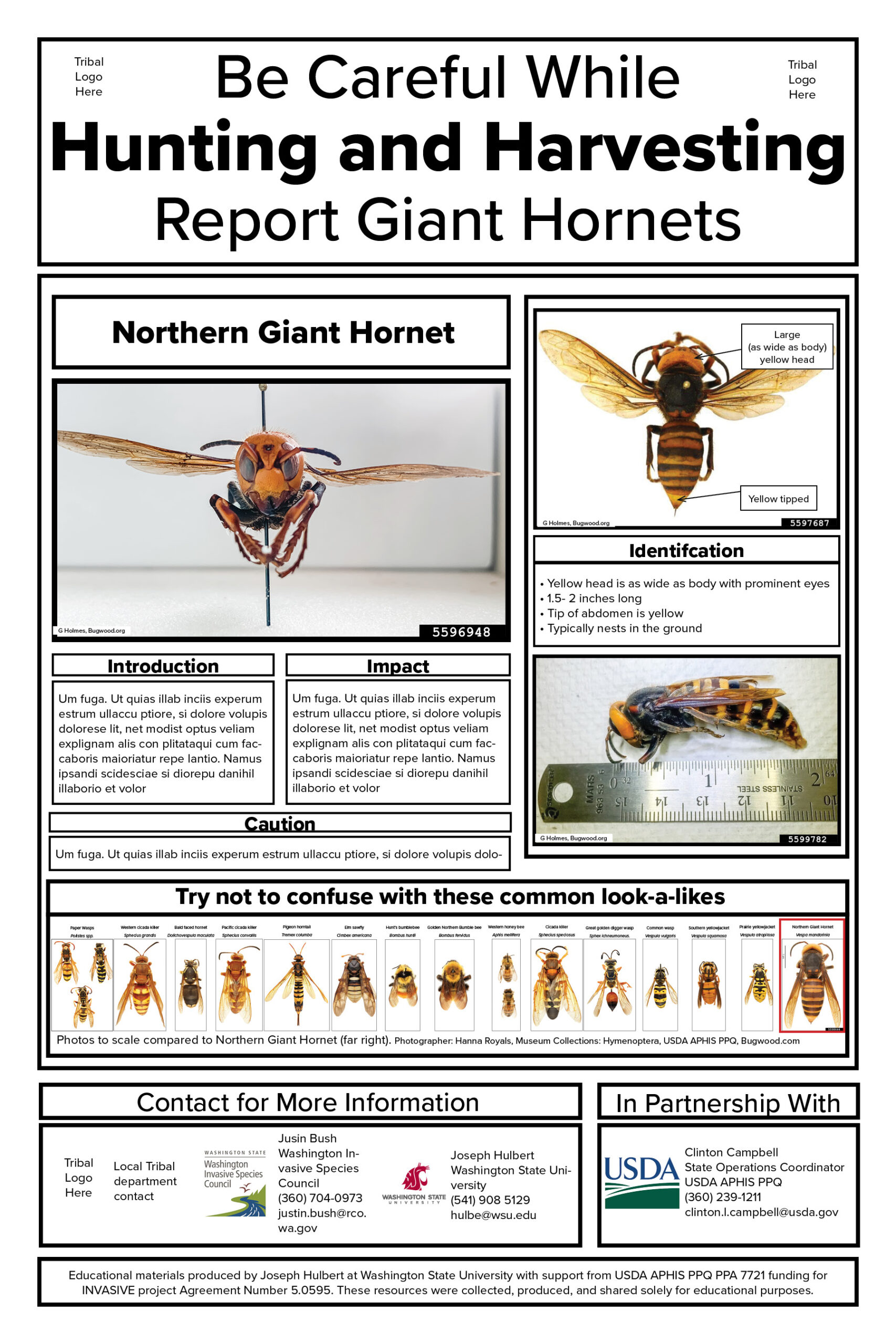 Outreach Materials | Invasive Species | Washington State University