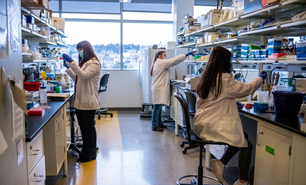 PhD Student Resources | Pharmacy and Pharmaceutical Sciences ...