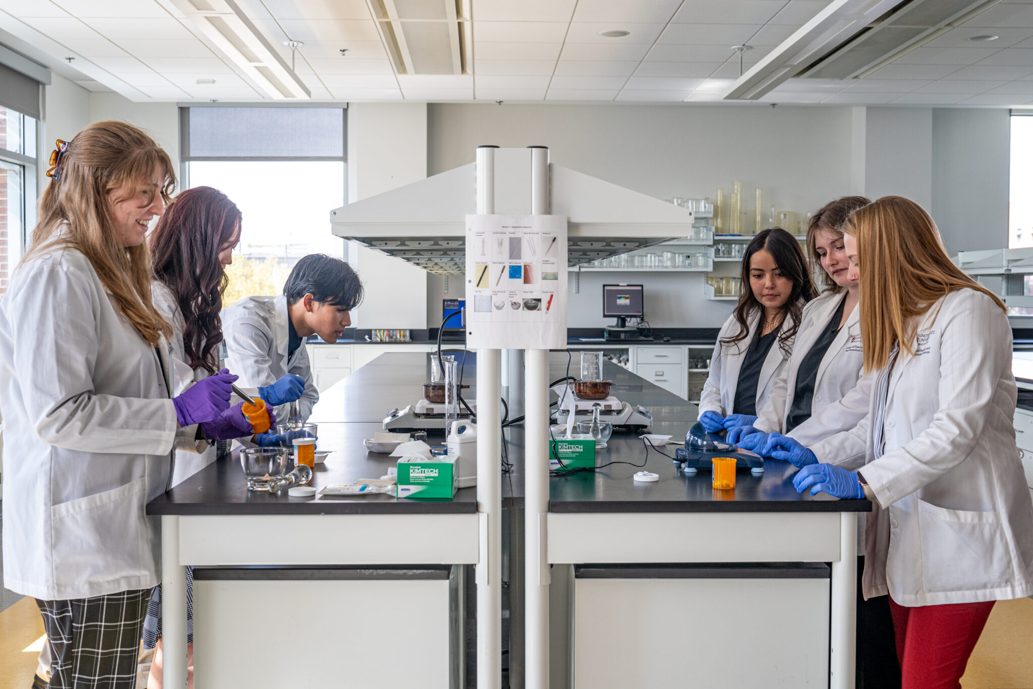 Doctor of Pharmacy | Pharmacy and Pharmaceutical Sciences | Washington ...