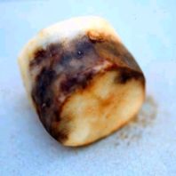 Potato Diseases | Department of Plant Pathology | Washington State ...