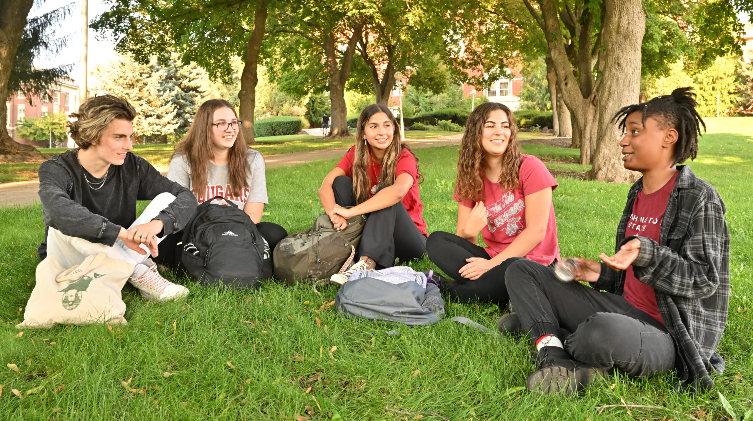 Excellence Impact Reports | WSU Arts and Sciences Alumni | Washington ...