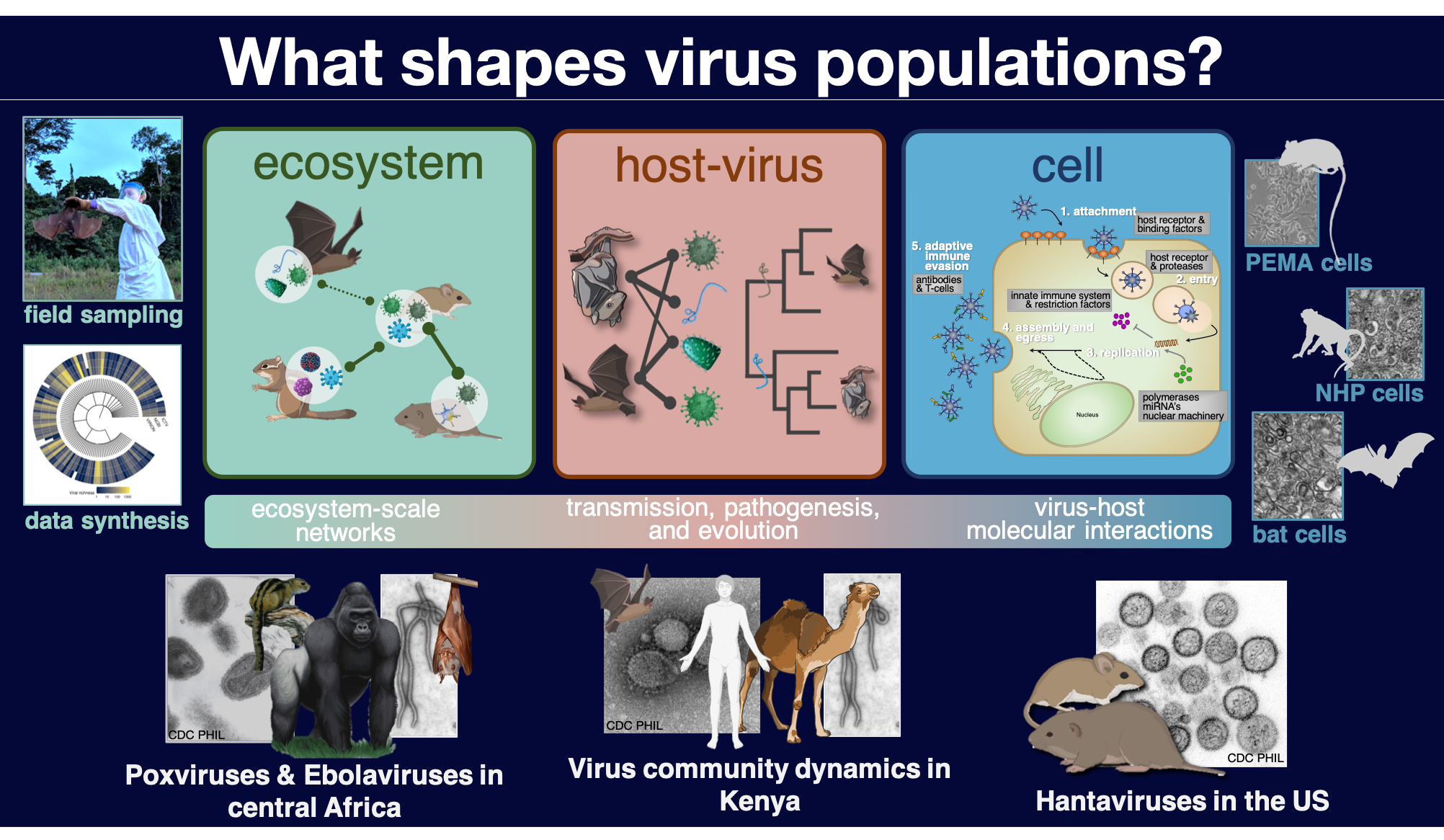 Lab Site for Molecular Ecology of Zoonotic and Animal Pathogens ...