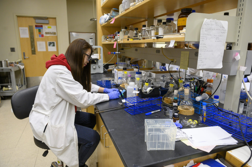 Research | Pharmacy and Pharmaceutical Sciences | Washington State ...