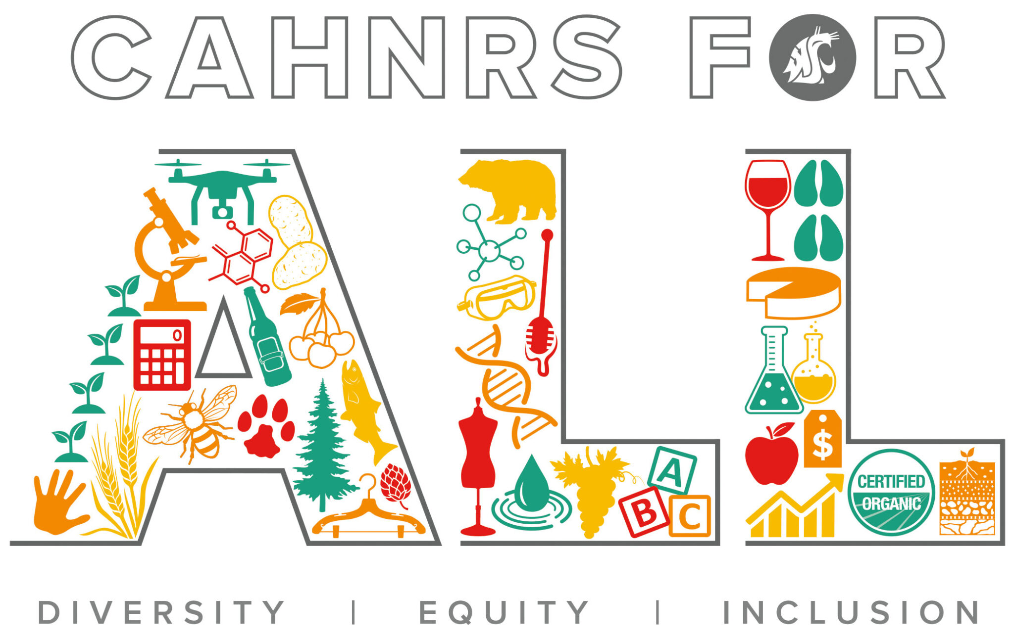 Diversity, Equity, and Inclusive Excellence | Washington State University