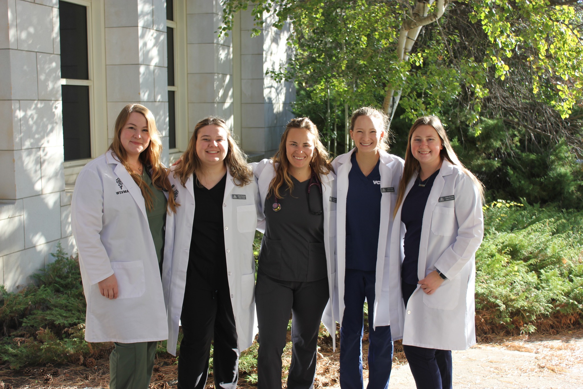 DC Interactions | Student Site | Washington State University