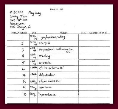 Problem Oriented Medical Records | Student Site | Washington State ...