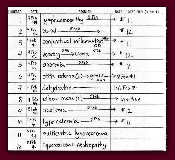 Problem Oriented Medical Records | Student Site | Washington State ...