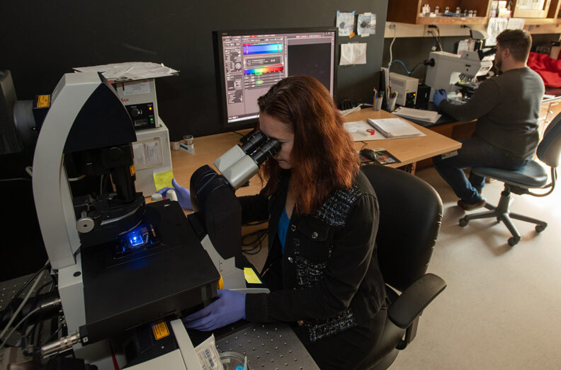 The Graduate School | Washington State University