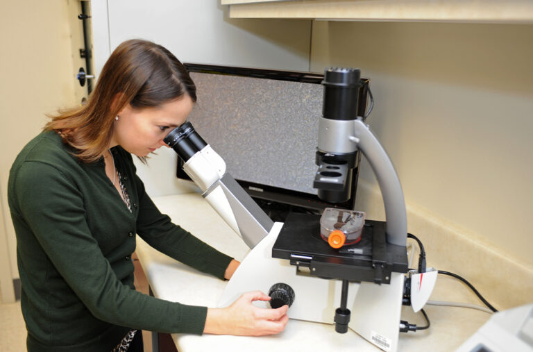 Goats | Washington Animal Disease Diagnostic Laboratory | Washington ...