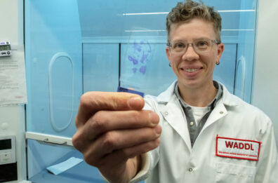 Washington Animal Disease Diagnostic Laboratory | Washington State ...