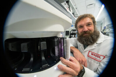 Washington Animal Disease Diagnostic Laboratory | Washington State ...