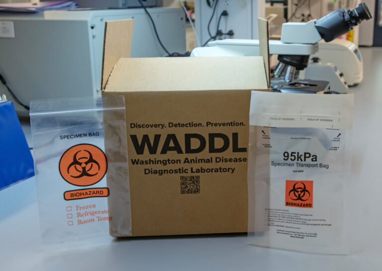 Testing for Highly Pathogenic Avian Influenza Virus | Washington Animal ...