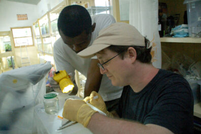 Washington Animal Disease Diagnostic Laboratory | Washington State ...