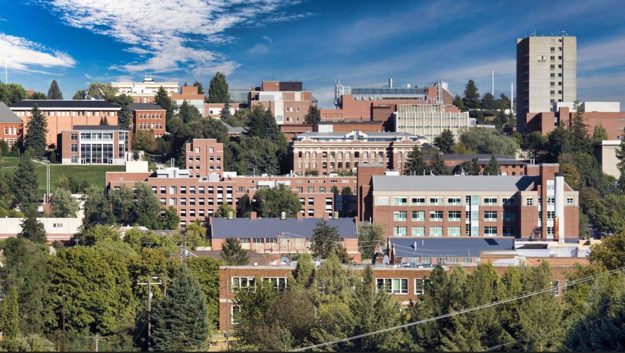 Learn at WSU | Admissions | Washington State University