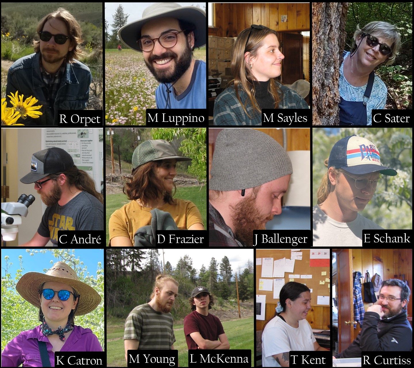 Robert Orpet Laboratory | Washington State University