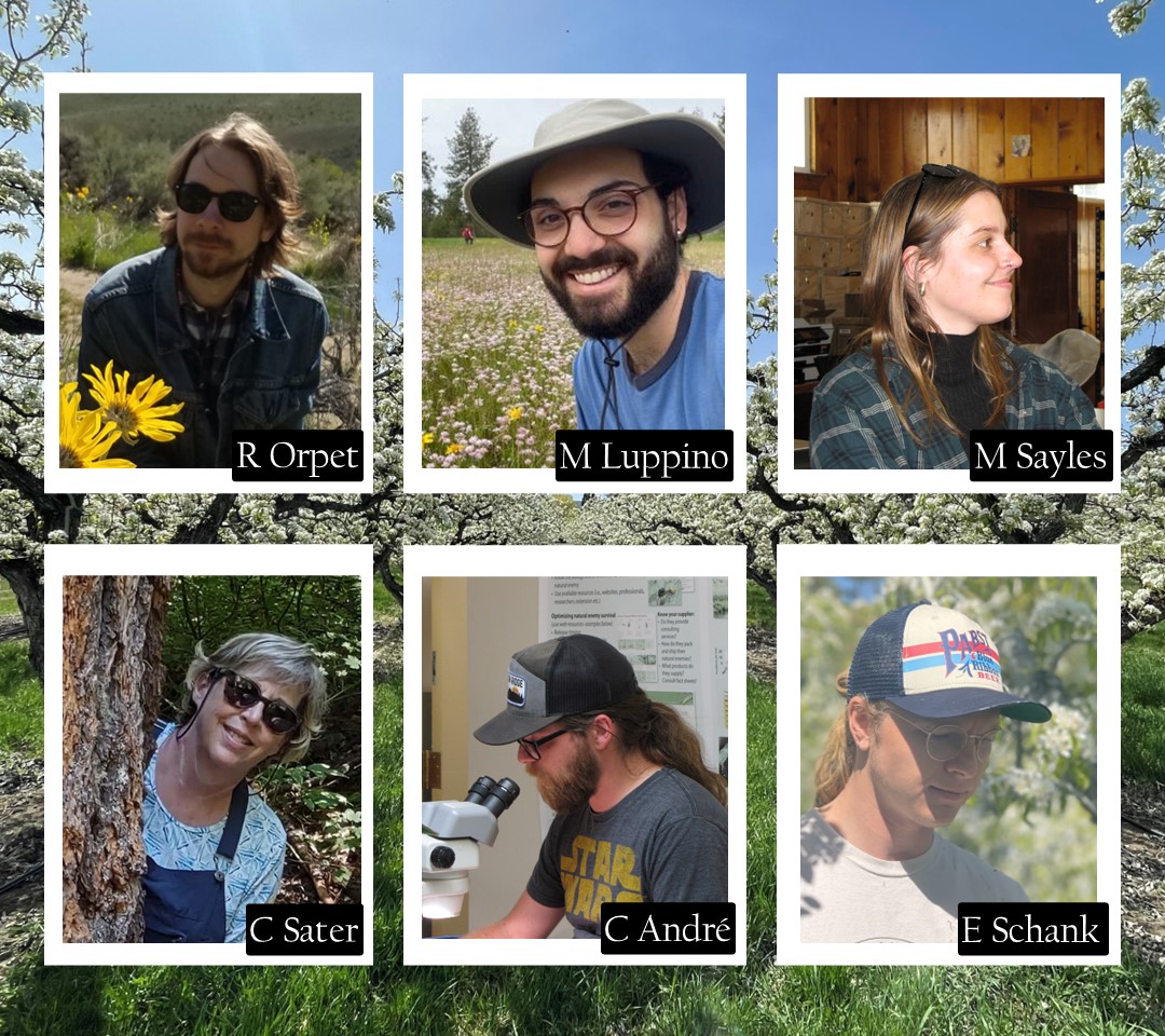 Robert Orpet Laboratory | Washington State University