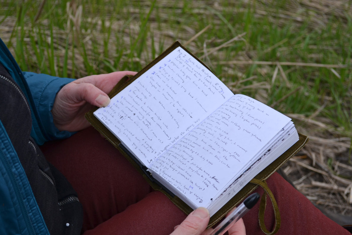 2017 | Points of Interest: Ruth Boden, Kevin Haas, Taiji Miyasaka, and ...