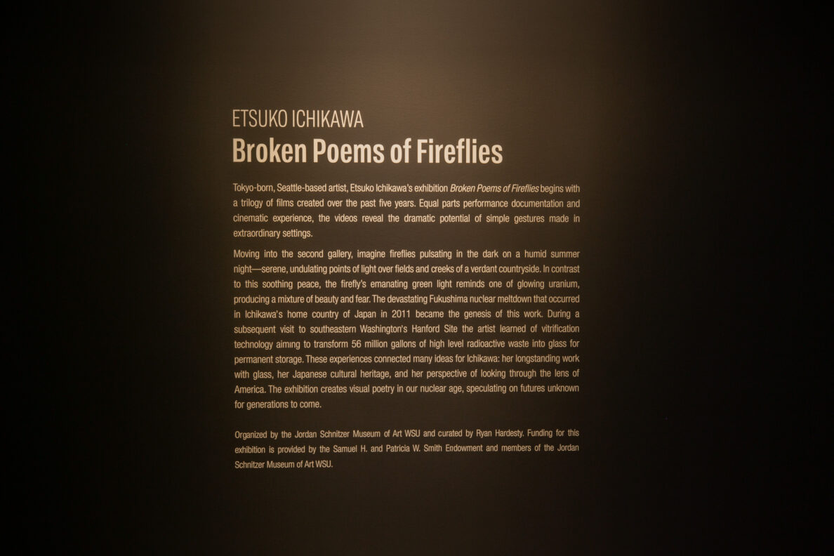 2020 | Etsuko Ichikawa: Broken Poems of Fireflies | Jordan Schnitzer Museum of Art WSU ...