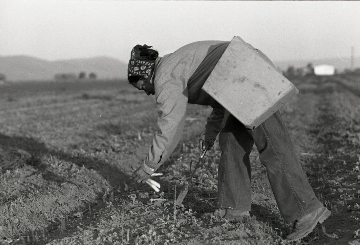 2022 | Our Stories, Our Lives: Irwin Nash Photographs of Yakima Valley ...
