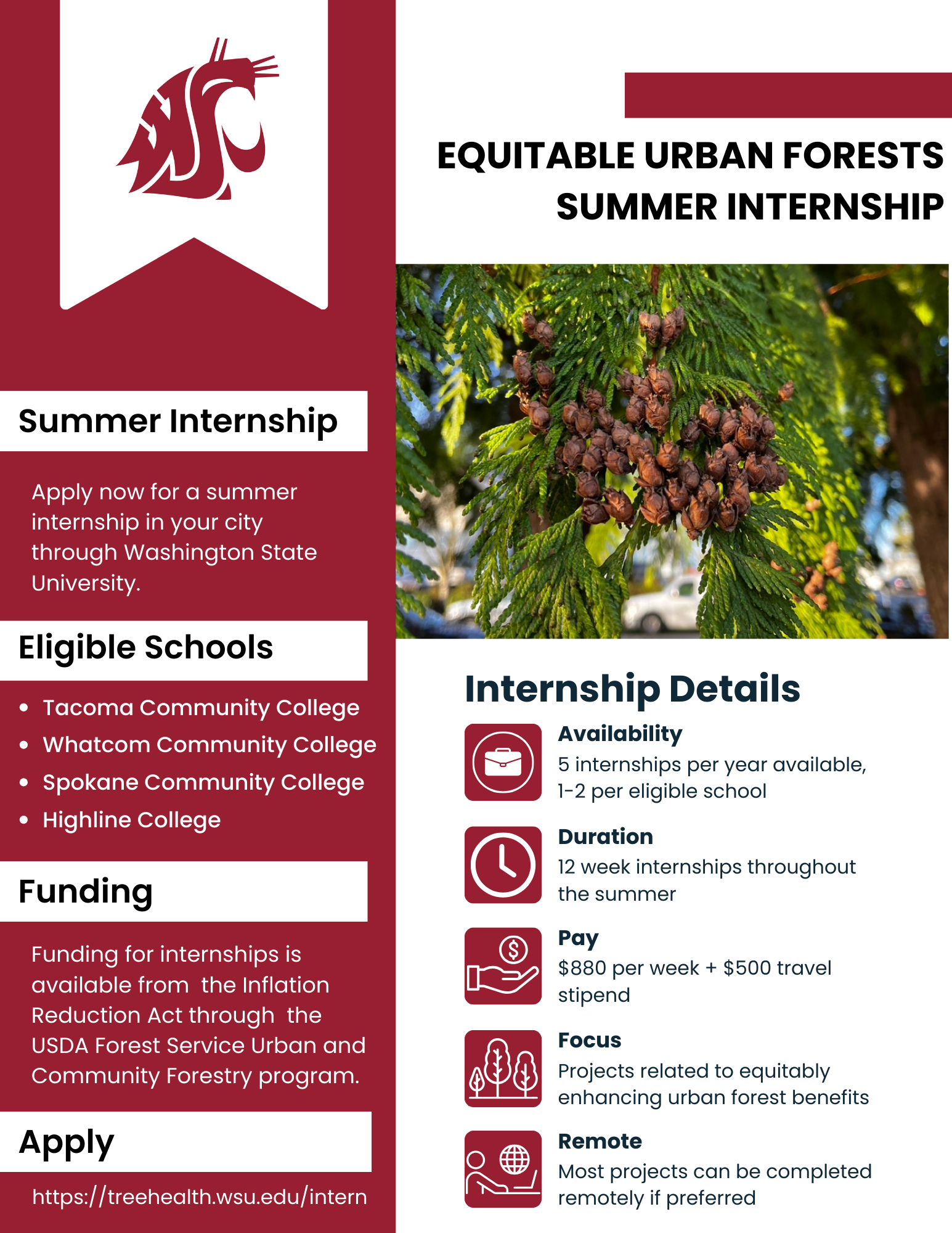 WSU Tree Equity Internships | WSU Urban Forest Health Lab | Washington ...