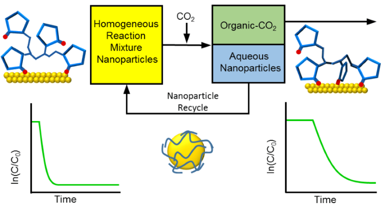 Understanding Nanoparticle Synthesis and Processing | Saunders Lab ...