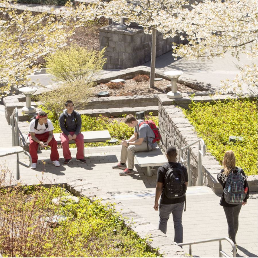 Transfer to WSU | Washington State University