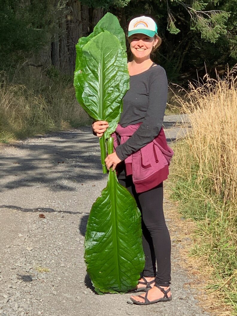 Grad student spotlight 2020 | Anthro News | Washington State University