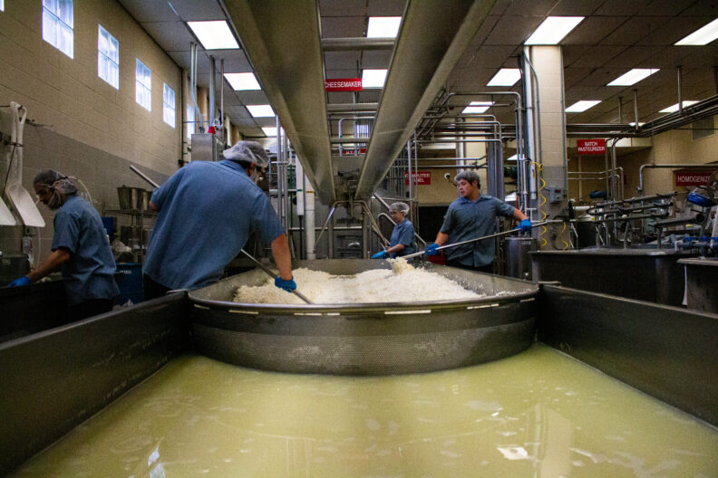 Give | School of Food Science | Washington State University