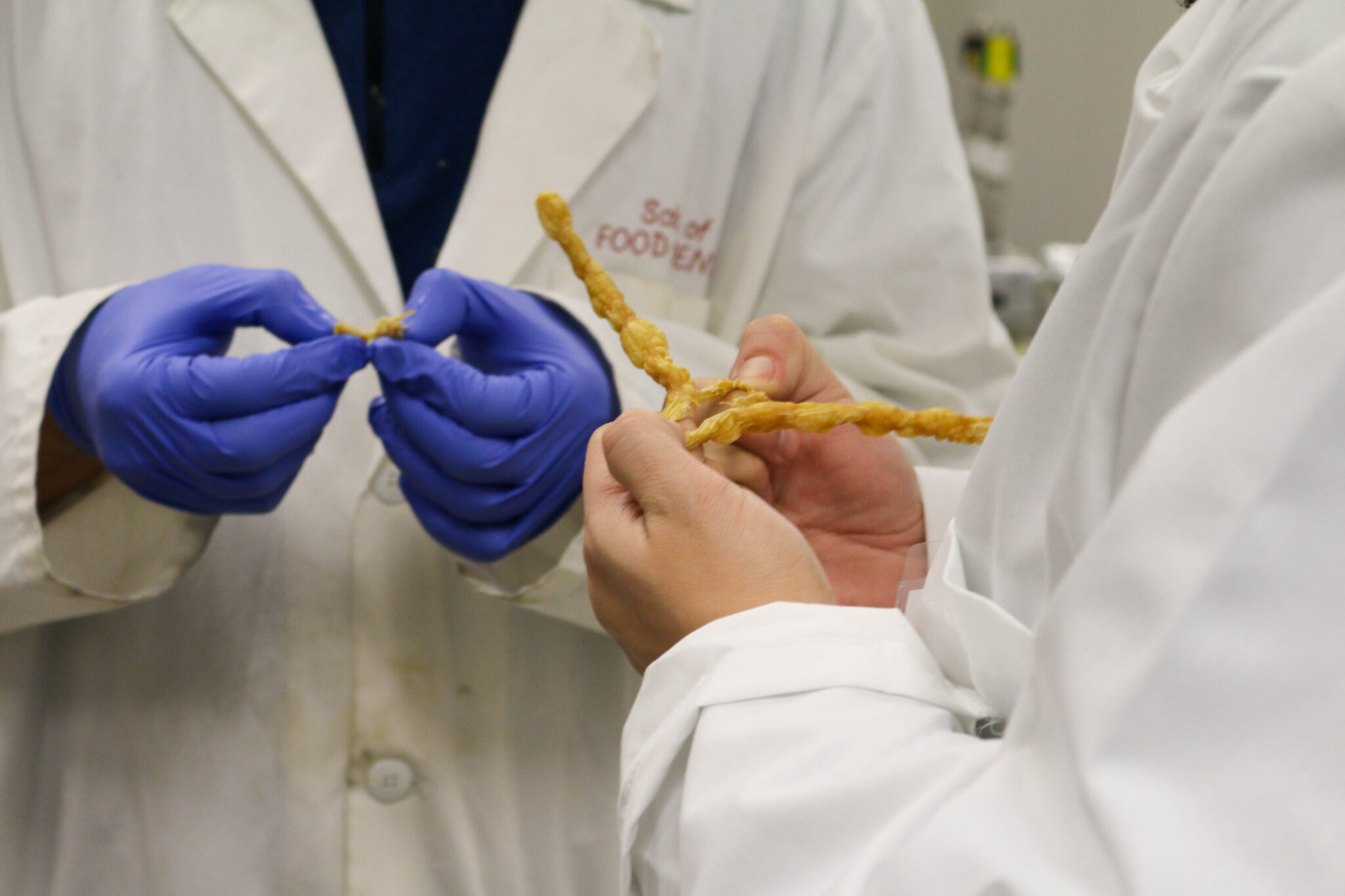 School of Food Science | Washington State University