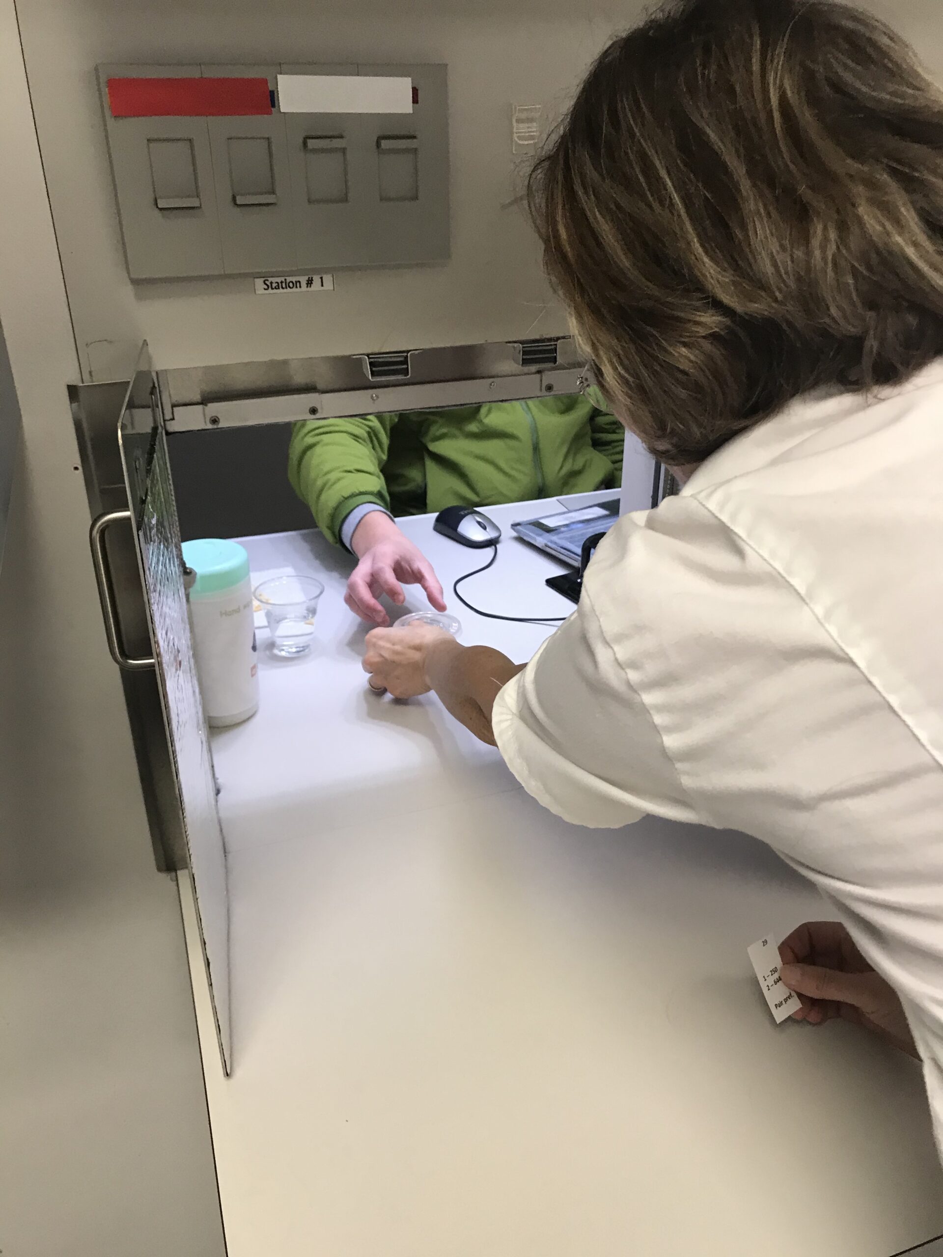 Working with the WSU Sensory Science Center | WSU Sensory Science ...