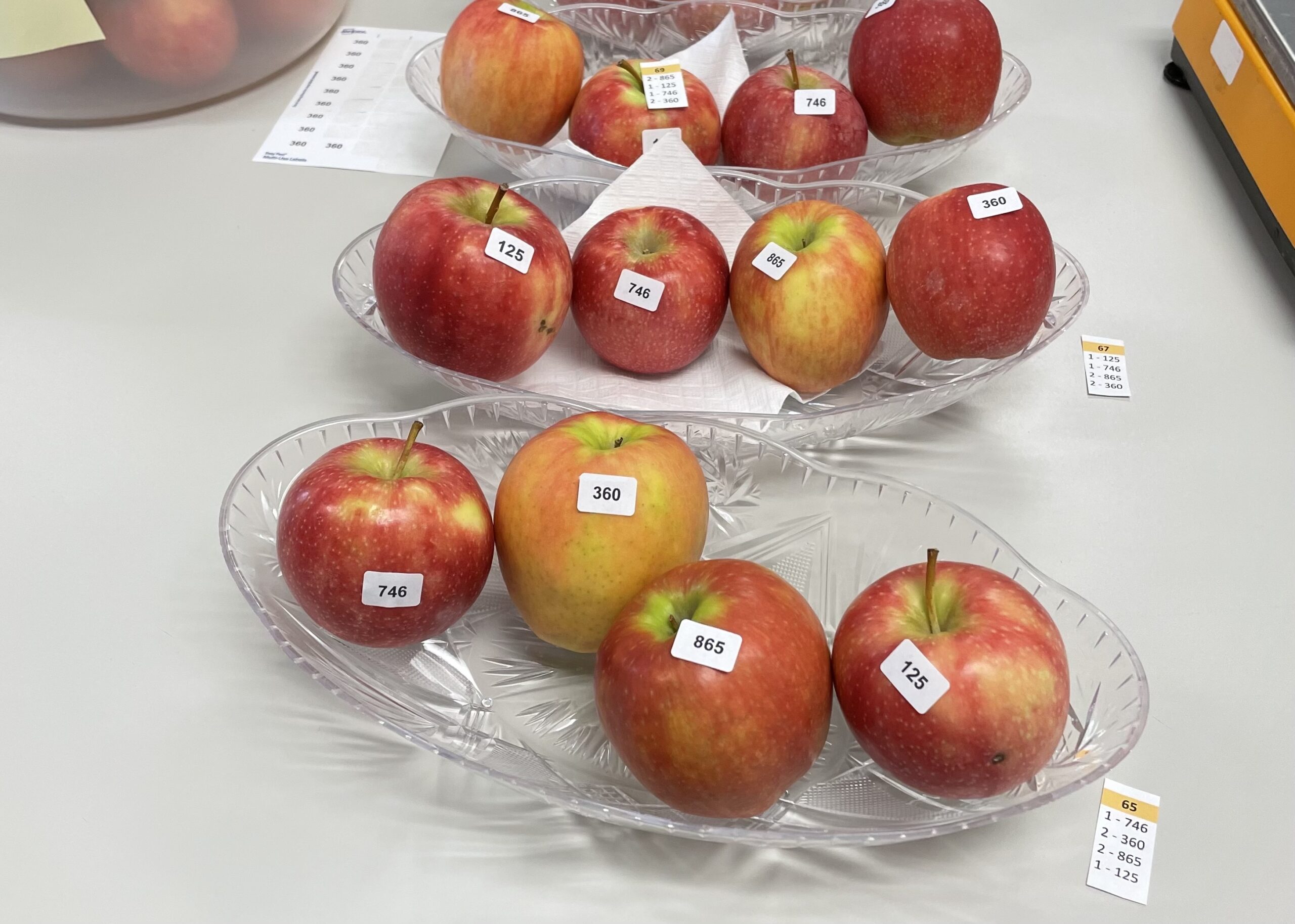 Sensory Evaluation Capabilities at the WSU Sensory Science Center | WSU ...