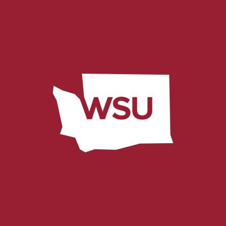 Logos | Brand | Washington State University