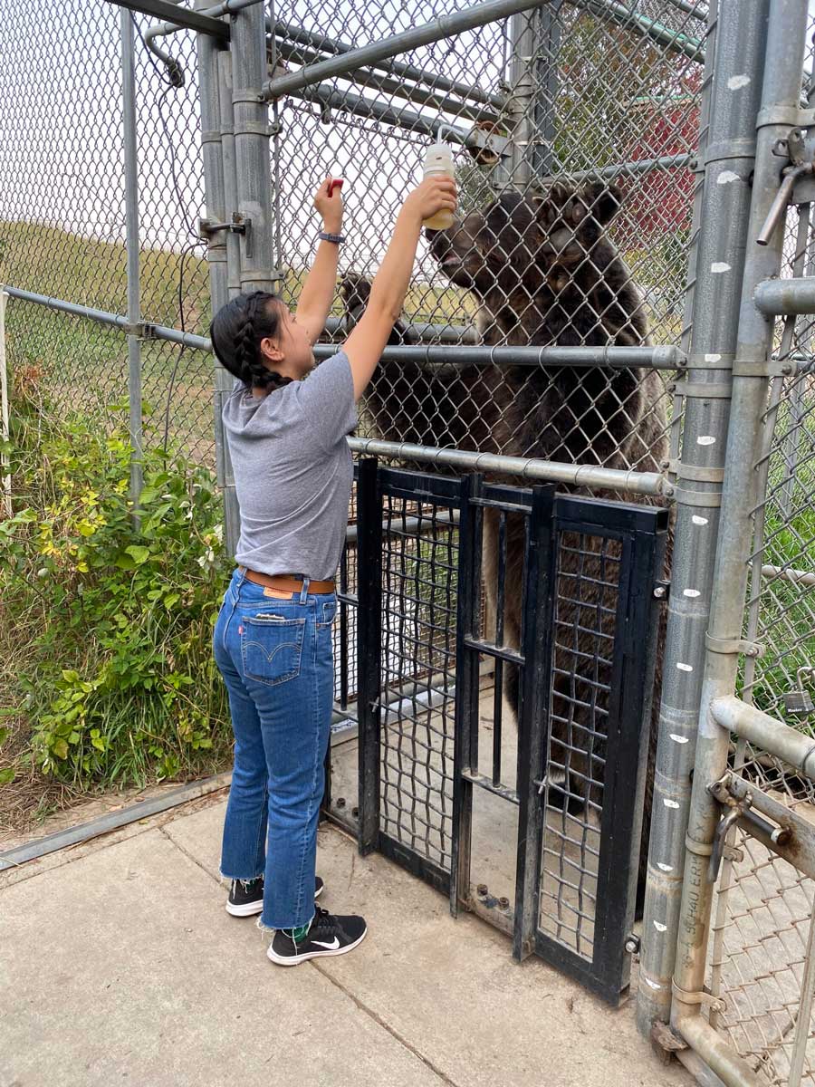 Volunteer Opportunities | WSU Bear Center | Washington State University