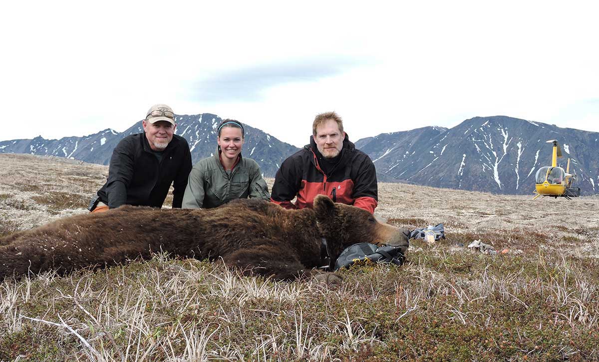 Research | WSU Bear Center | Washington State University