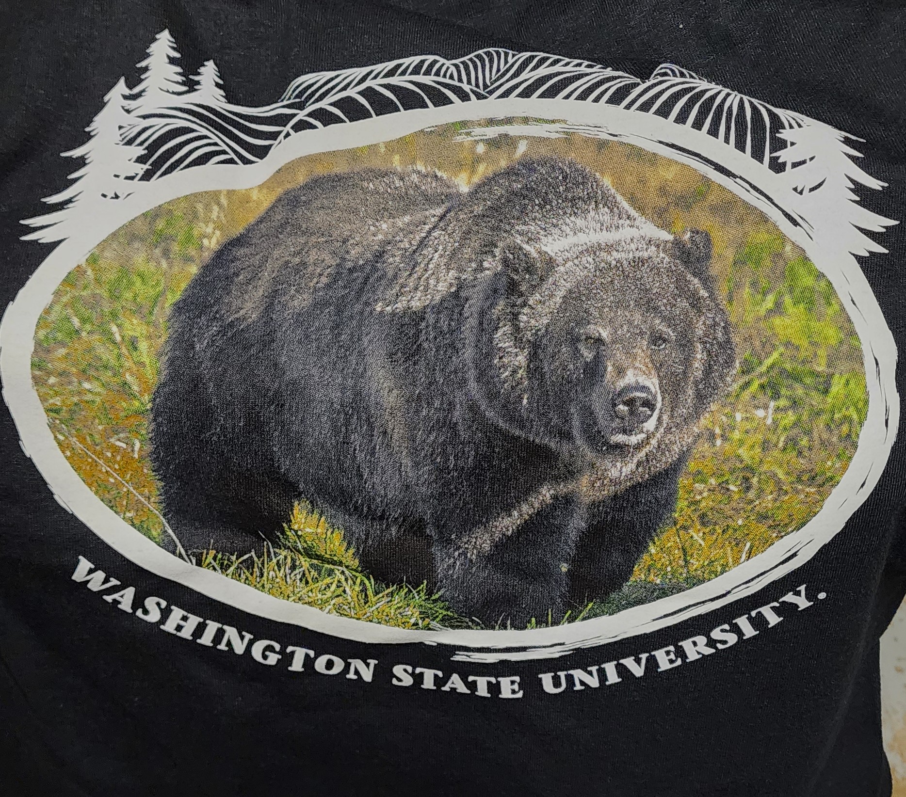 Merchandise | WSU Bear Center | Washington State University