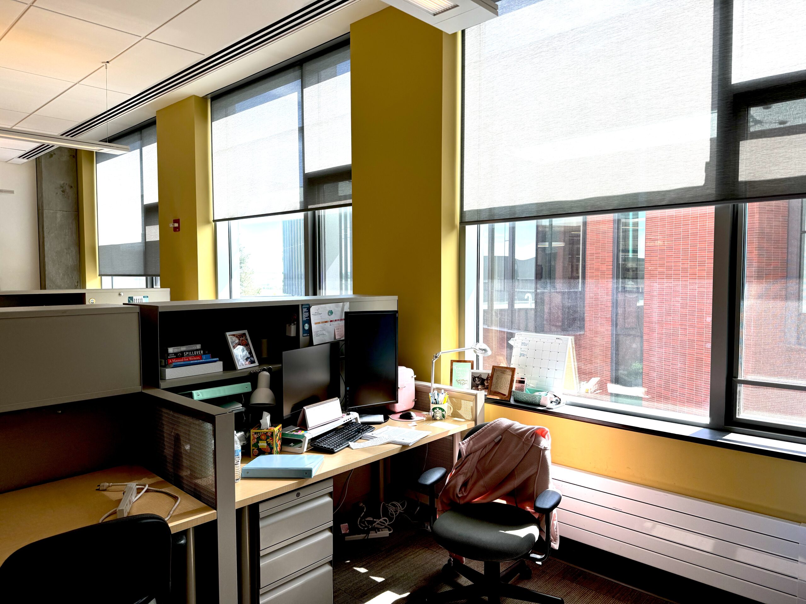 Working in the LoFV | Laboratory of Functional Viromics | Washington ...