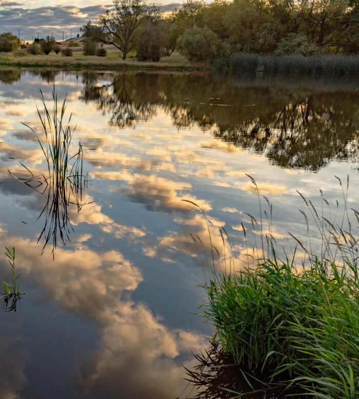 Research, Education and Discovery | Washington State University