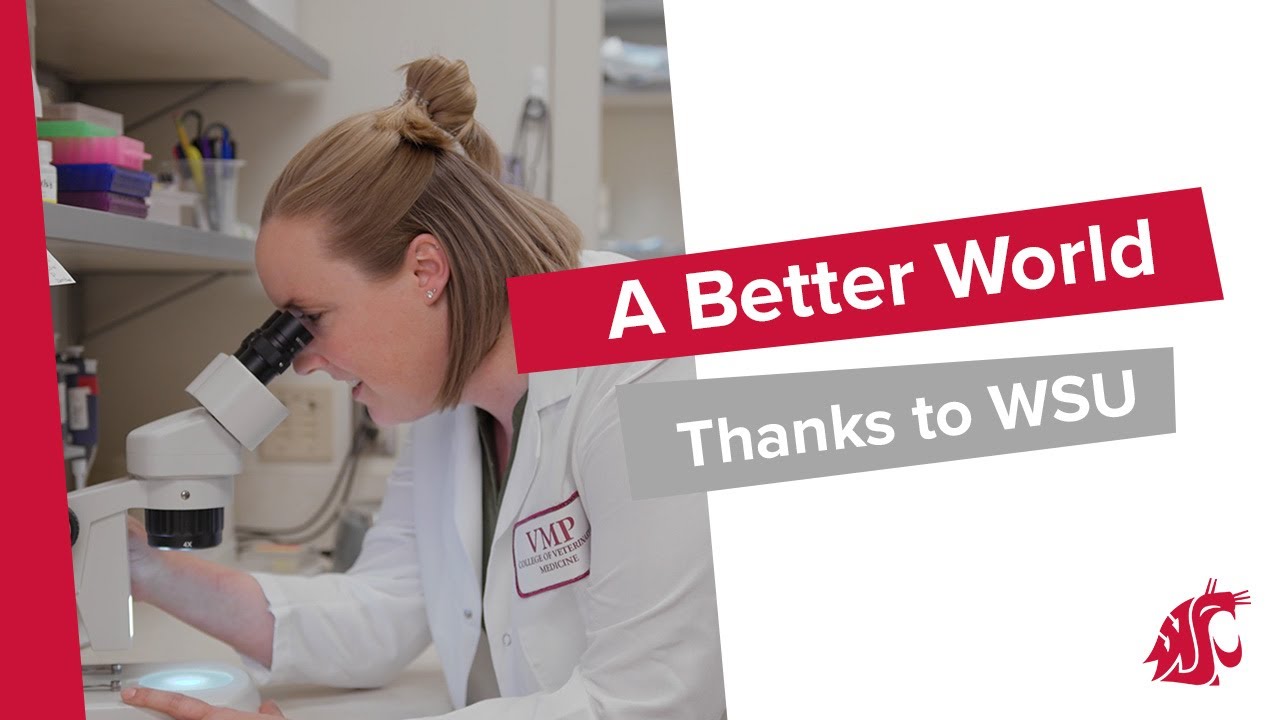 Research, Education and Discovery | Washington State University