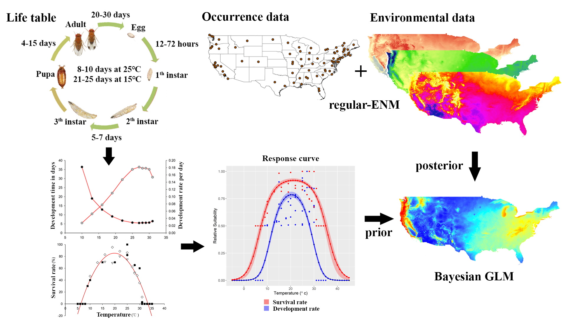 Dr. Gengping Zhu | Washington State University