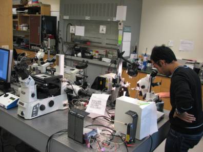 Laboratory Photos | The Biofilm Engineering Research Group | Washington ...