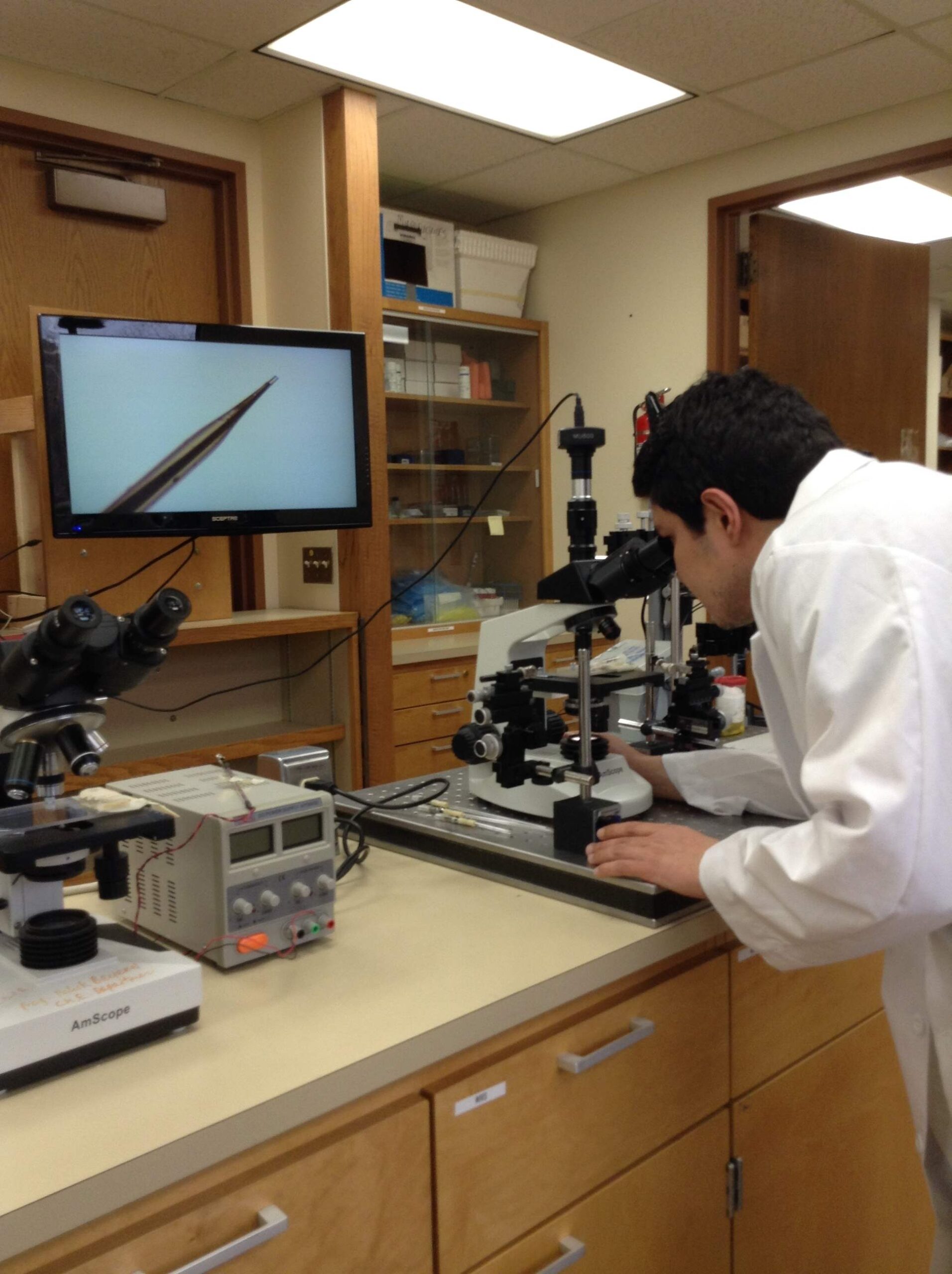 Research | The Biofilm Engineering Research Group | Washington State ...