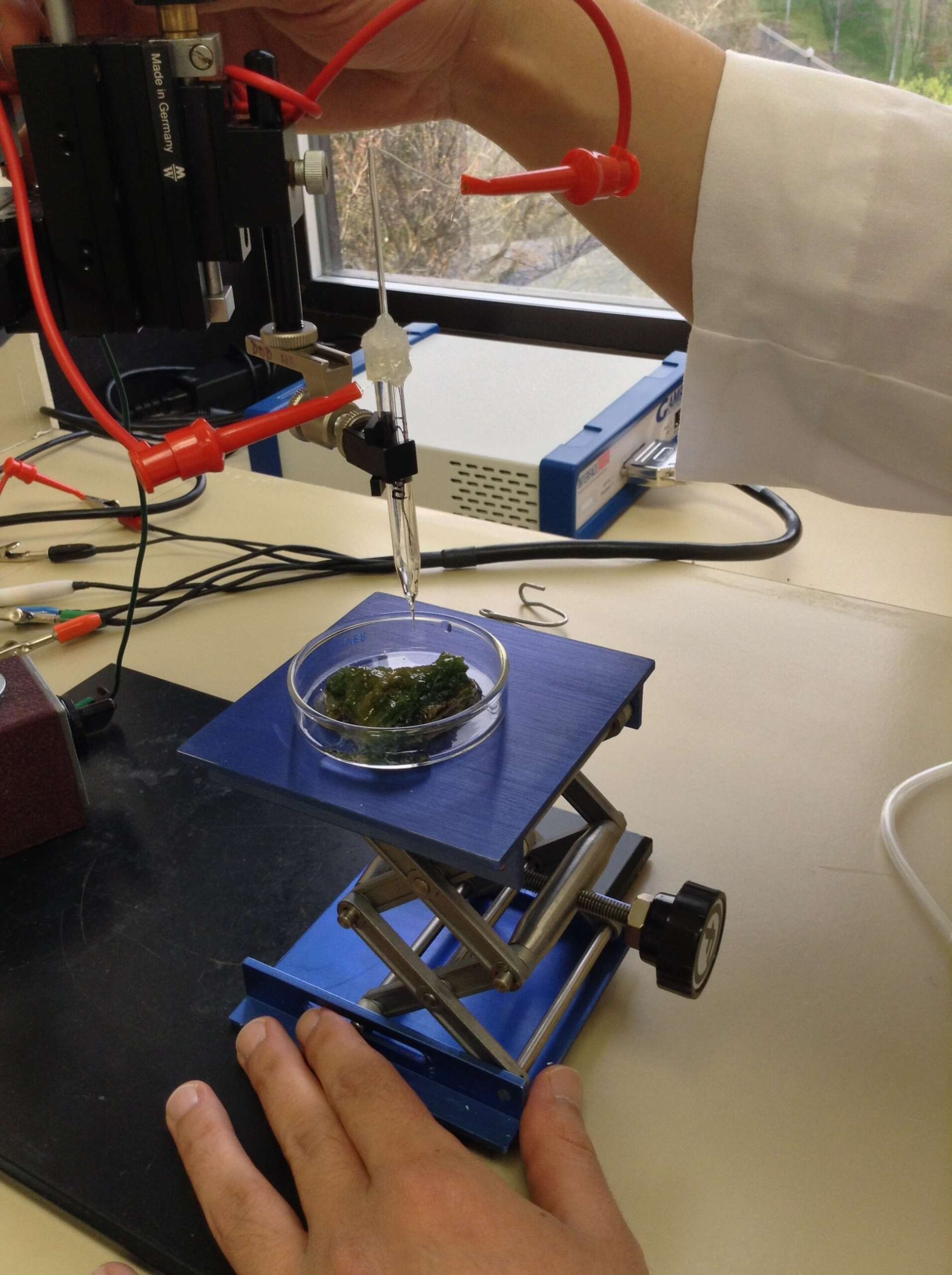 Laboratory Photos | The Biofilm Engineering Research Group | Washington ...