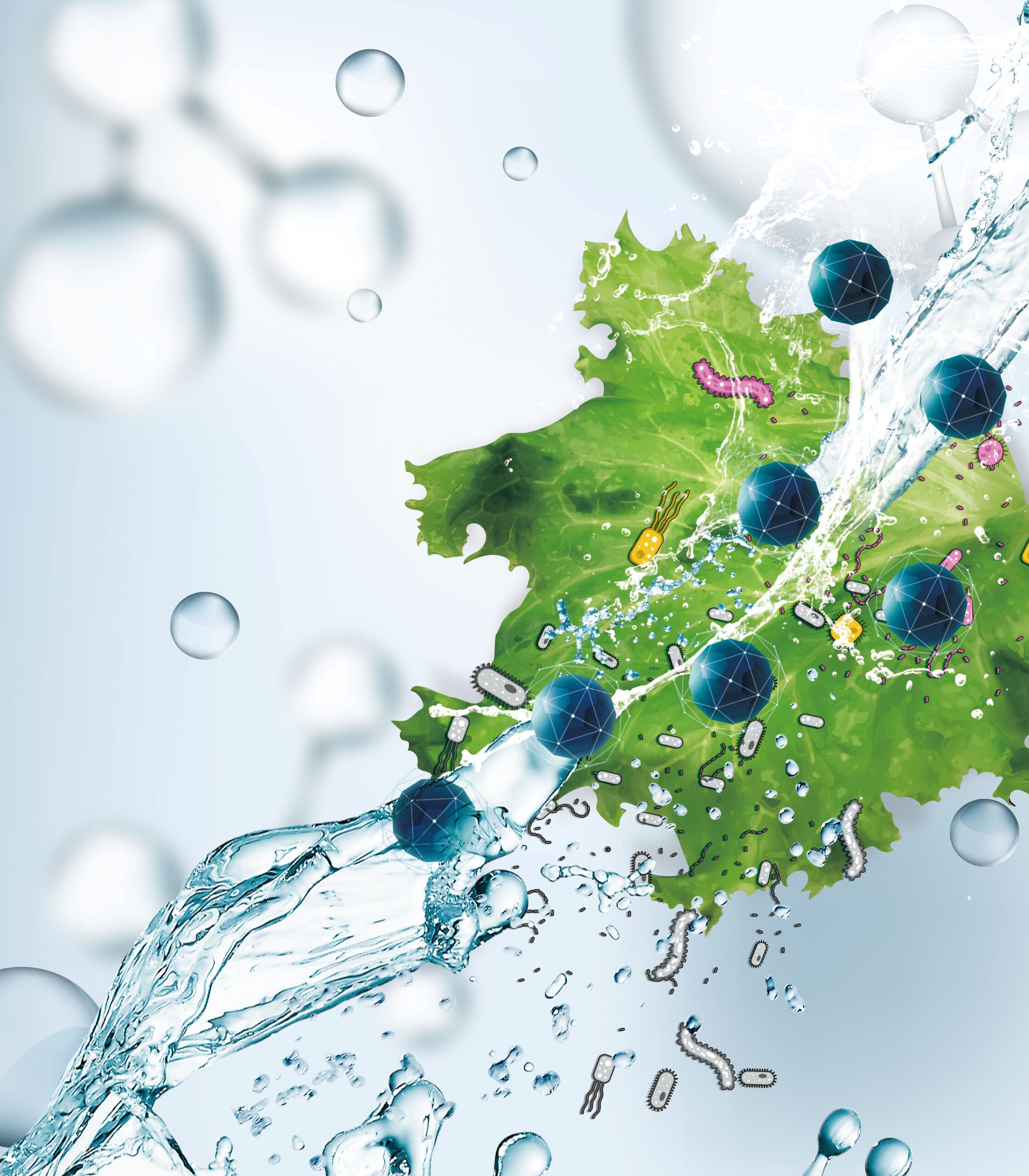 Kang Huang | Food and Biomaterials Engineering | Washington State ...
