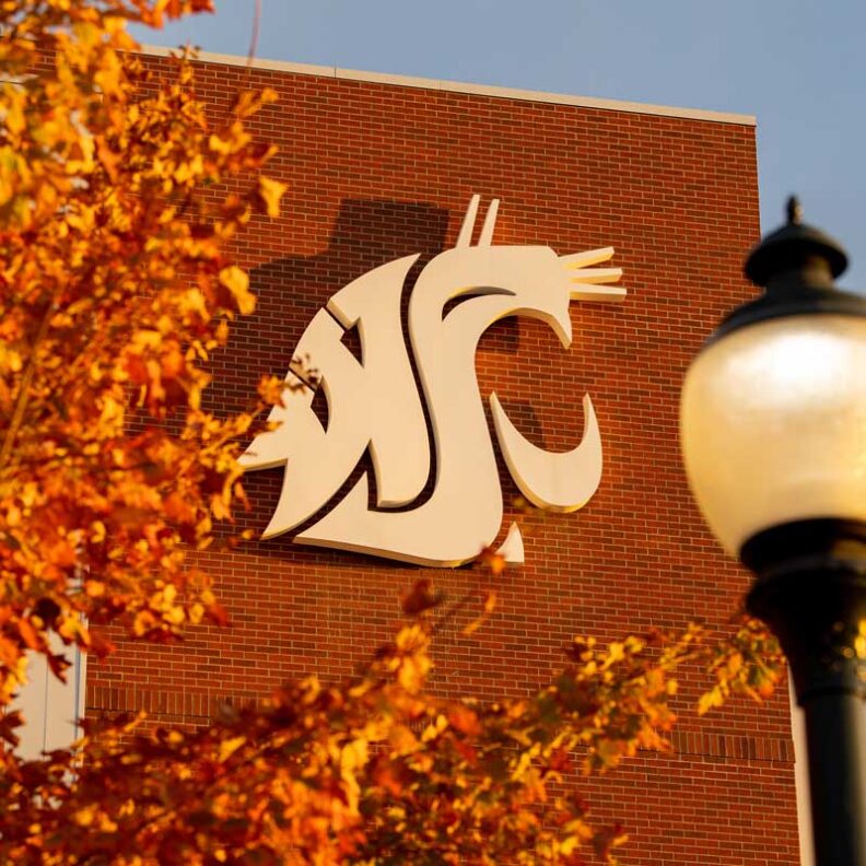 Institutional Dashboards | WSU Data and Information | Washington State ...