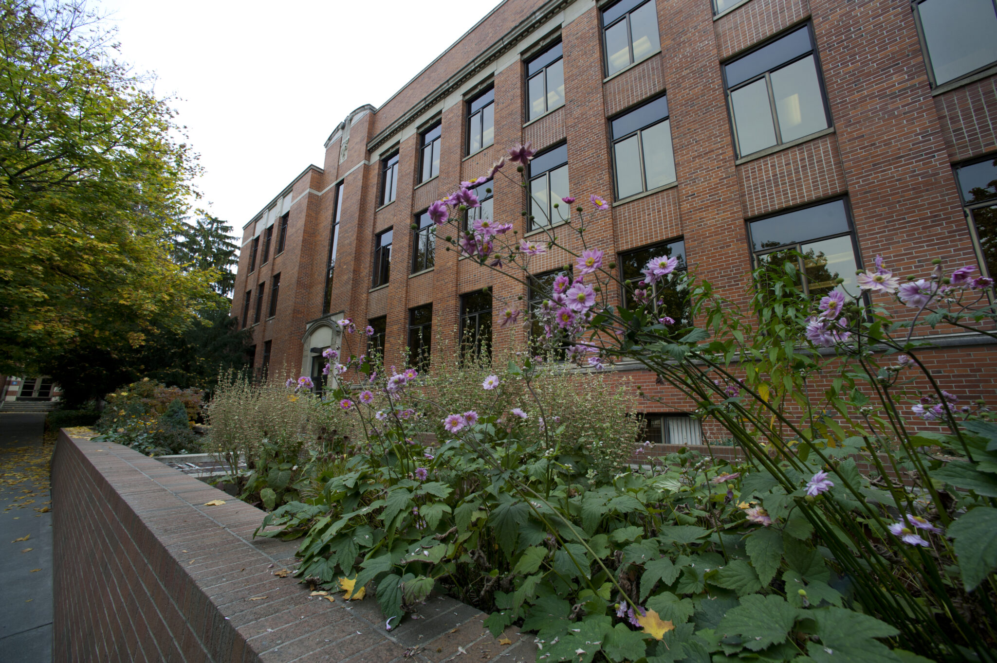 Locations and Layouts | Pullman Classrooms | Washington State University