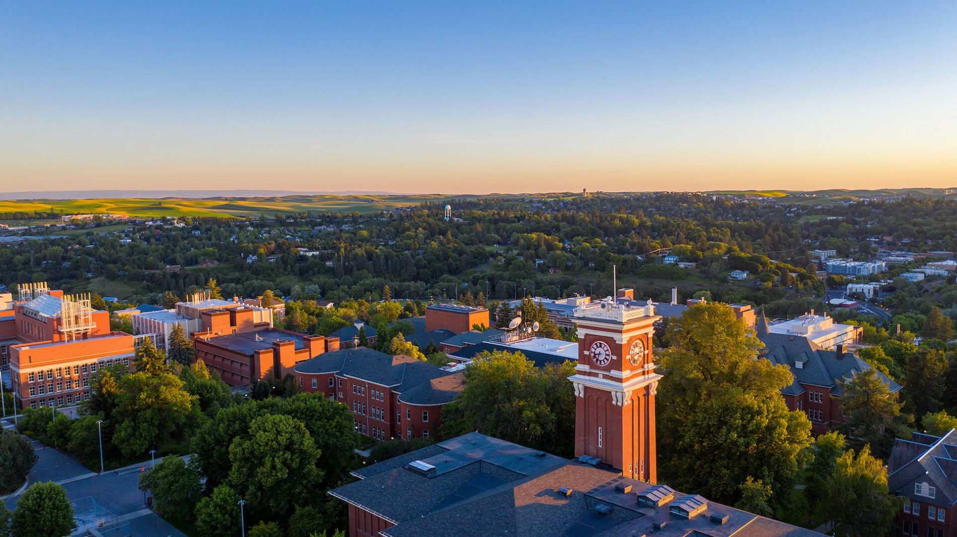 College Fair | Washington State University