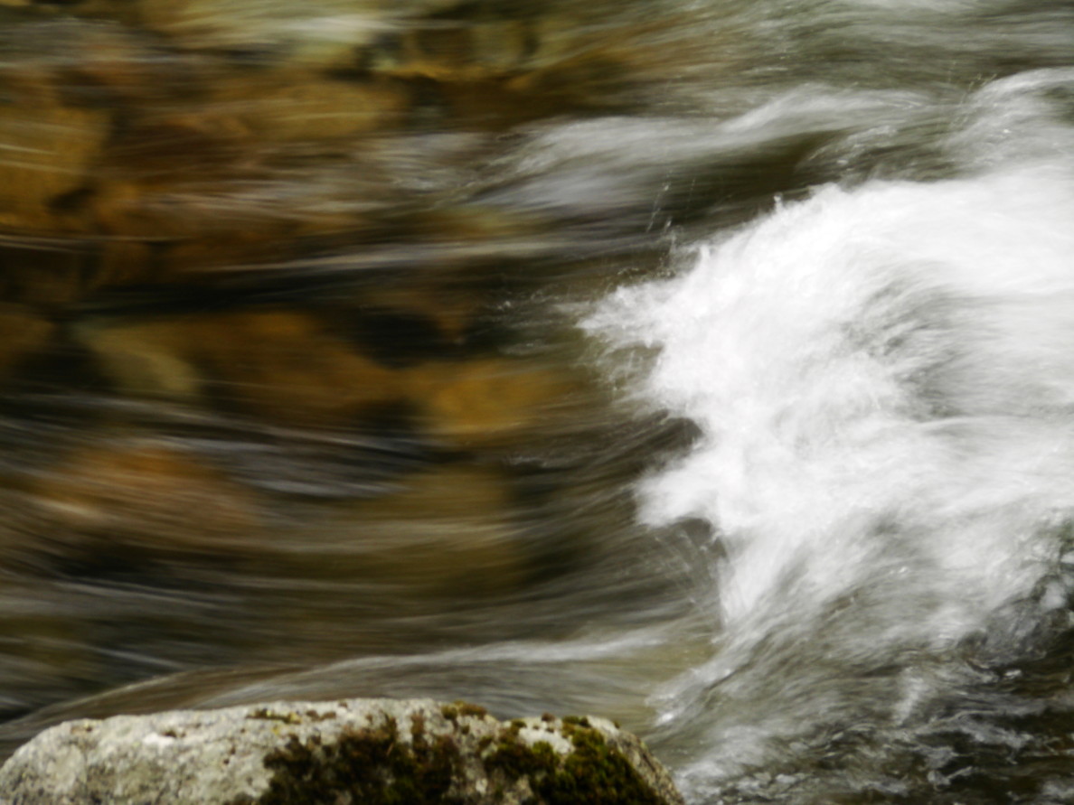 About | State of Washington Water Research Center | Washington State ...