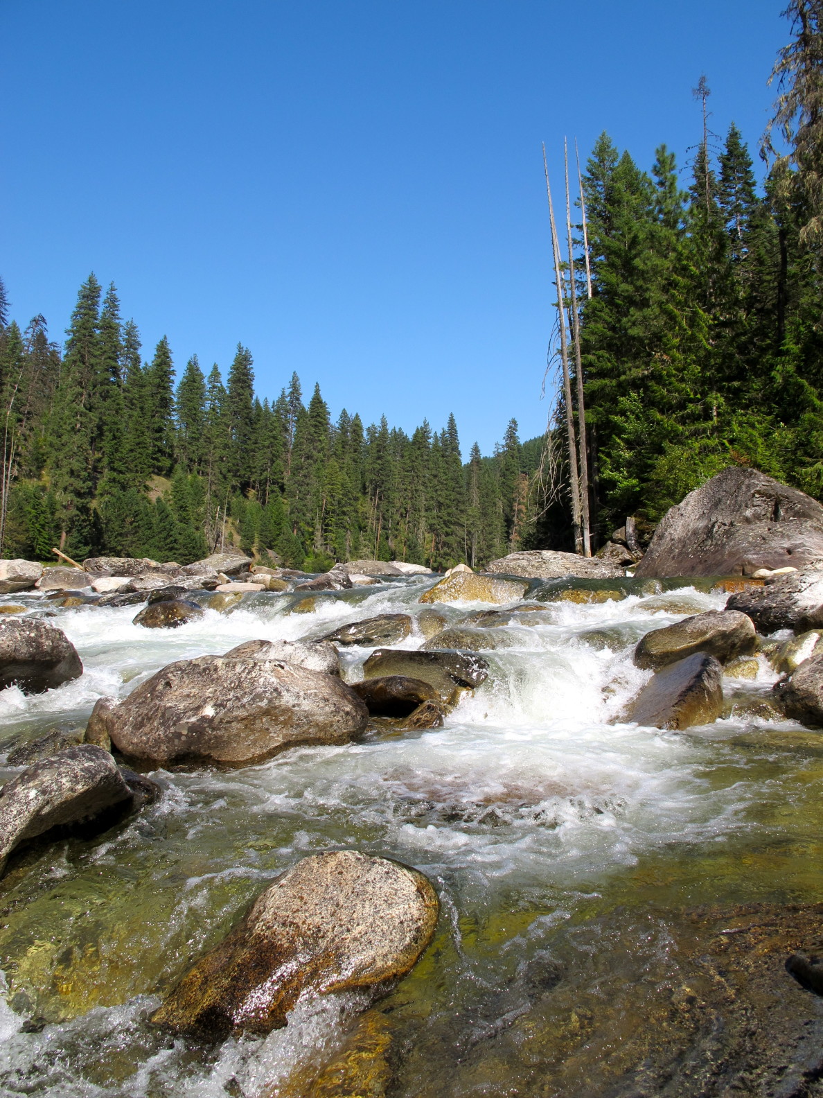 Subscribe | State of Washington Water Research Center | Washington ...